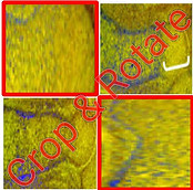 Proofig | AI-Powered Scientific Image Plagiarism checker